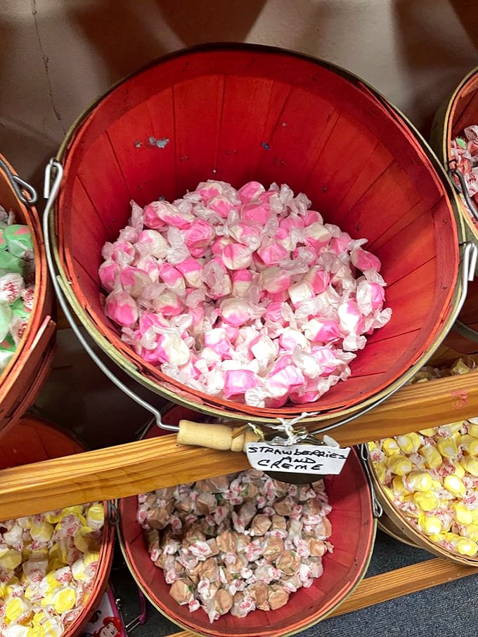 Pink perfection in a bucket! These saltwater taffies are so fresh and chewy, you might forget you're not actually at the beach.
