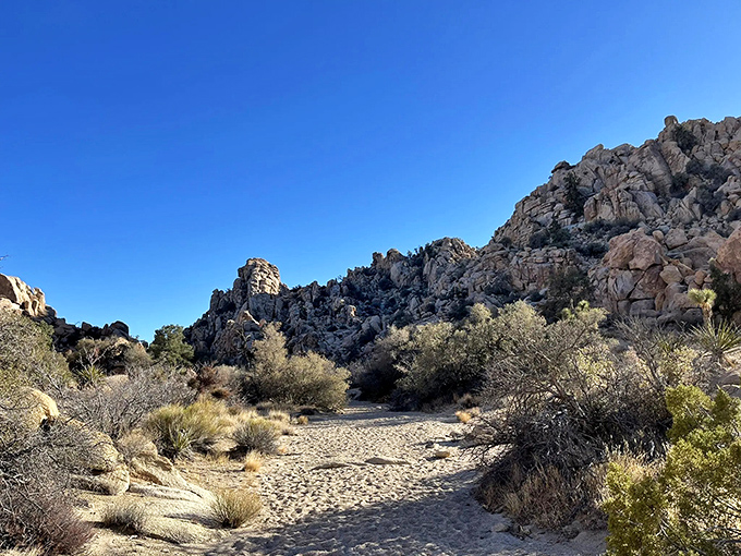 A trail that promises adventure with every step. It's like Mother Nature rolled out her own red carpet, but instead of paparazzi, you get panoramic views.