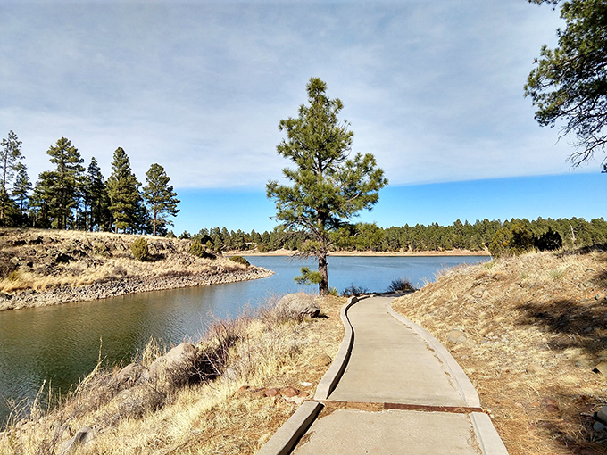 Who needs a yellow brick road when you've got this scenic trail? Follow it for views that'll make your Instagram followers green with envy.