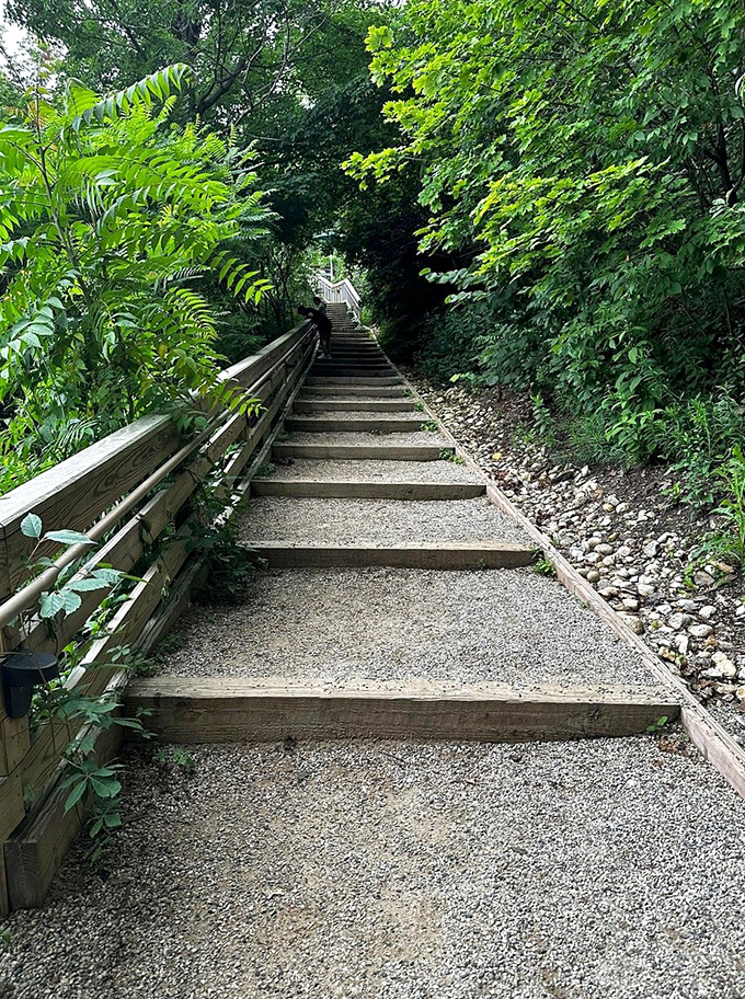 Stairway to heaven? Not quite, but this trail through the lush greenery might just lead you to your happy place.