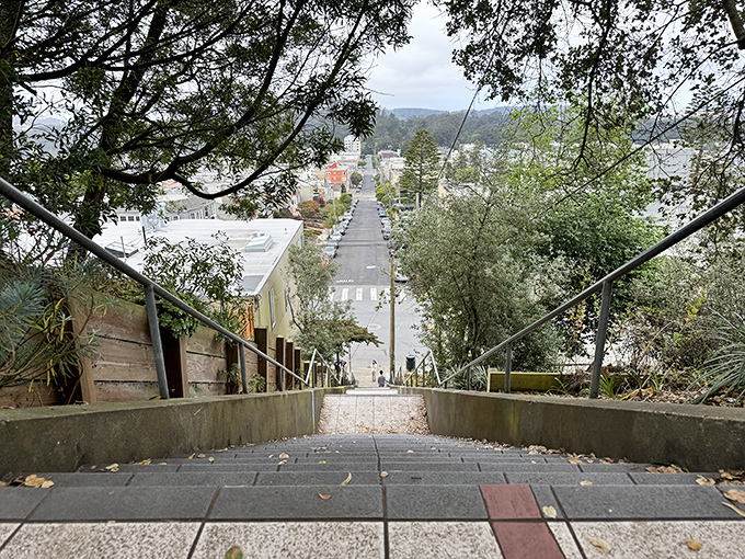 Talk about a room with a view! From up here, San Francisco looks like a miniature model city built by very ambitious elves.