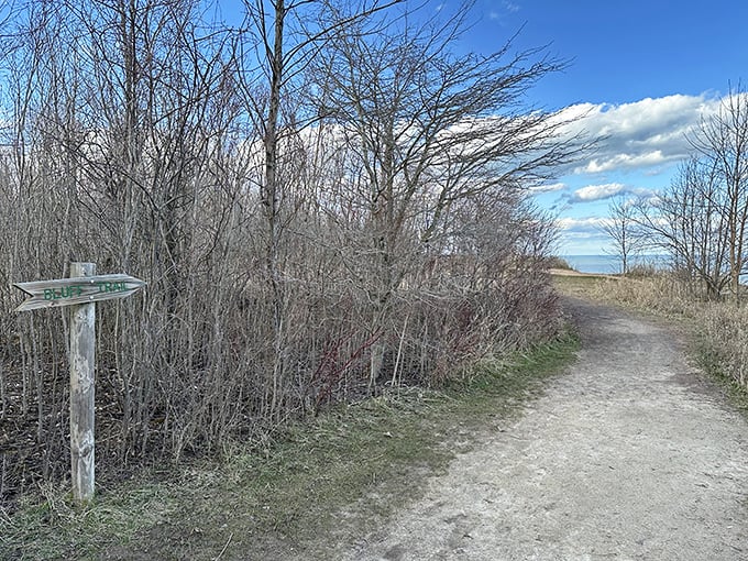 Perched on the edge of adventure, this bluff trail offers views that'll make your Instagram followers green with envy.