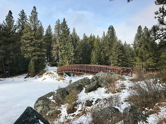 This bridge isn't just crossing water; it's bridging the gap between you and your inner snow queen. Elsa would be jealous!