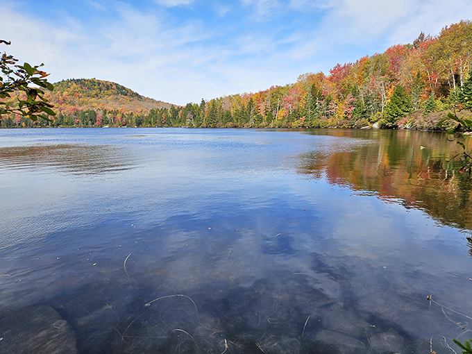 Witness autumn's grand finale reflected in still waters. It's like Mother Nature decided to throw her most colorful party right here.