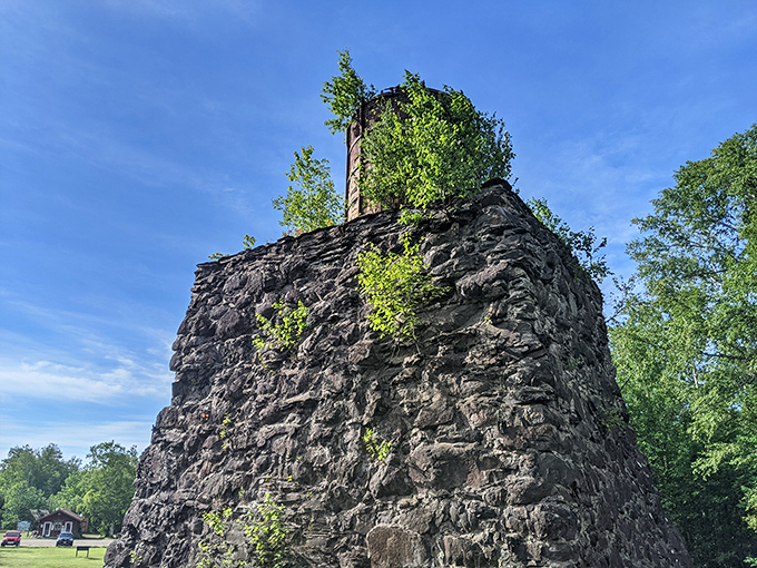 Mother Nature's slow-motion takeover bid. Watch as greenery reclaims this industrial relic, creating a captivating blend of man-made and natural wonders.