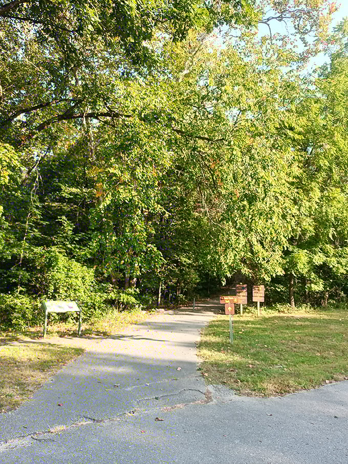 Jurassic Park, Missouri-style: Step into a verdant wonderland where every leaf whispers tales of ancient inhabitants.