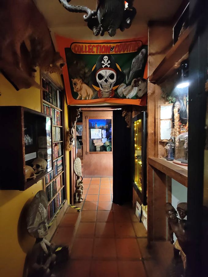 Indiana Jones meets Ripley's Believe It or Not in this corridor of curiosities. Every turn reveals a new wonder.