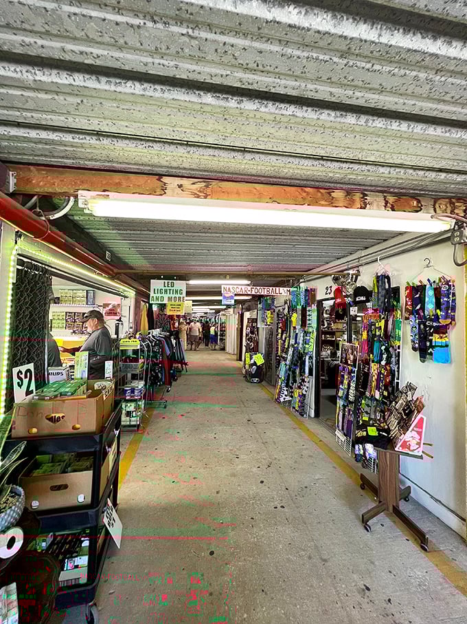 Aisle after aisle of adventure awaits! It's like a treasure hunt where X marks... well, pretty much every spot.