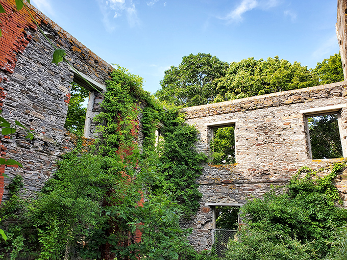 Nature's ultimate fixer-upper! Ivy and wildflowers stage a takeover, proving Mother Nature's the best interior decorator. Talk about an open floor plan!