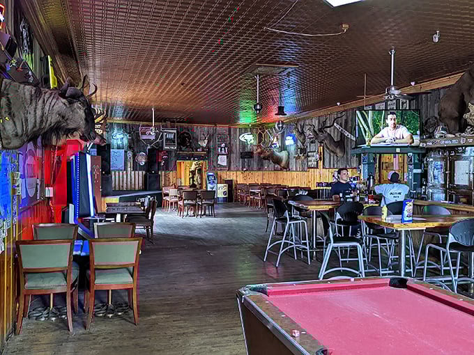 Where taxidermy meets revelry! The Sultana's interior is a treasure trove of Americana, each mounted head telling a silent story.