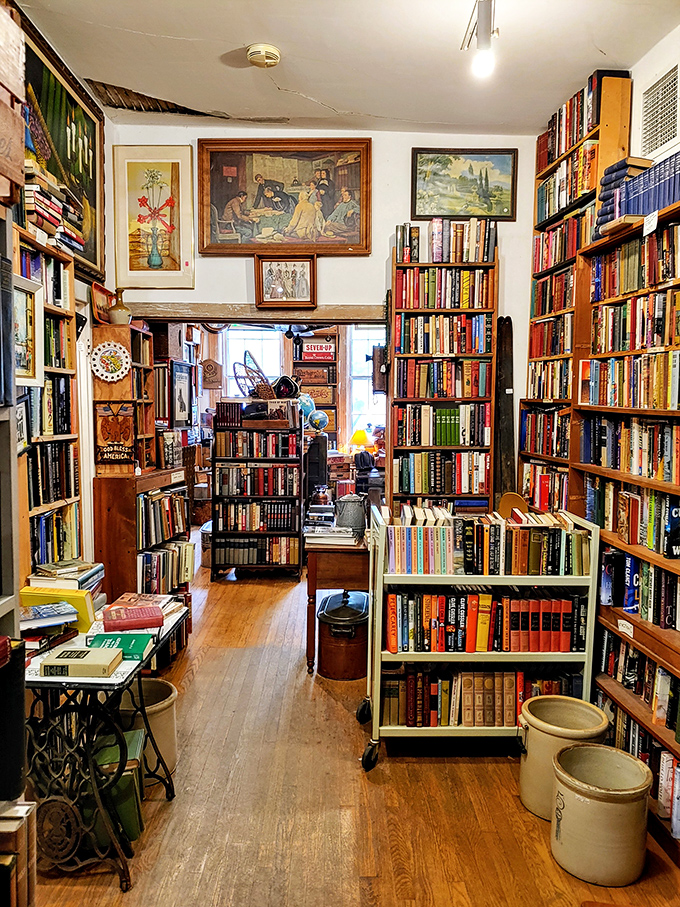 Bibliophile heaven or organized chaos? Either way, this book-lined labyrinth is where adventures begin and hours disappear.