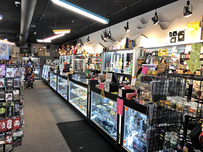 Rows upon rows of musical magic! This interior shot showcases the vast collection that'll have you browsing for hours.