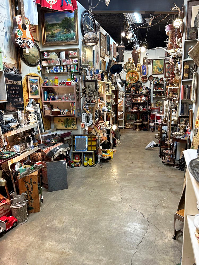 Step inside and prepare for sensory overload! It's like your eccentric aunt's attic met a time machine and threw a party.