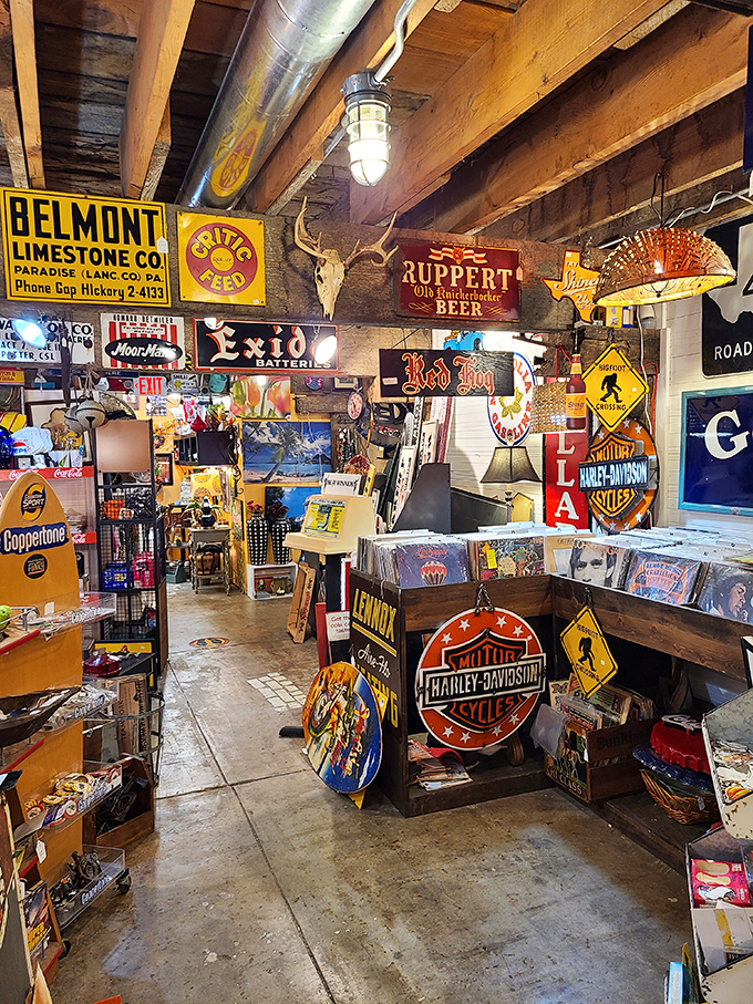 Imagine if your eccentric great-aunt's attic exploded into an organized chaos of wonder. That's the vibe here, folks!