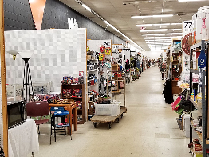 Behold, the Narnia of knick-knacks! This endless aisle is where your inner child and savvy shopper join forces for an epic adventure.