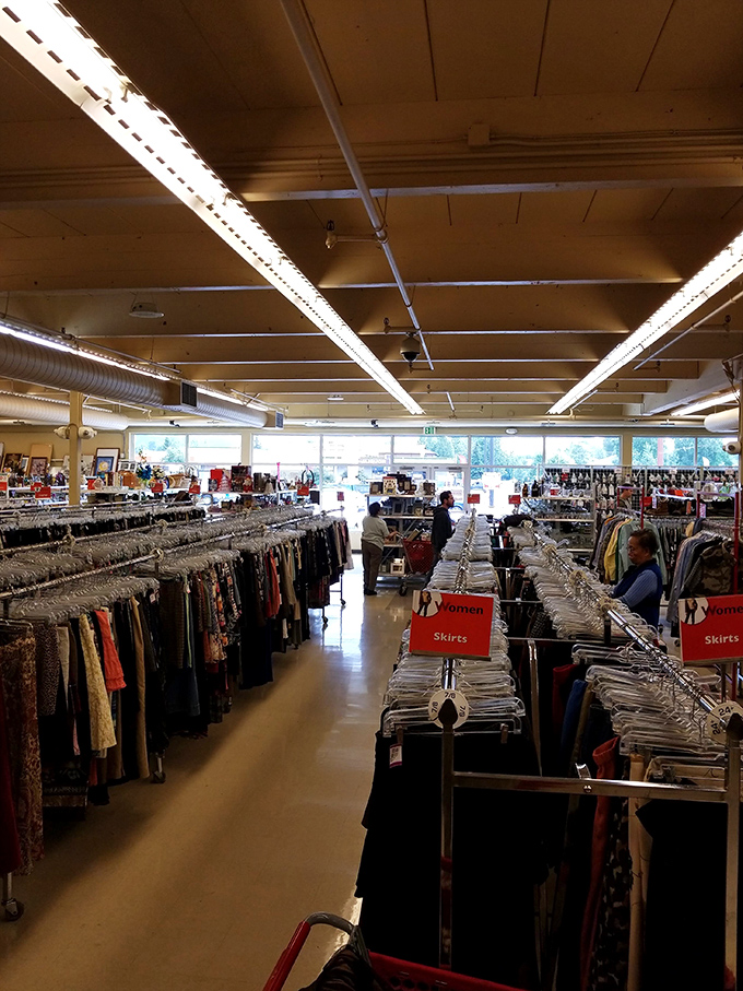 Aisles and aisles of possibility! It's like someone took your grandma's attic and gave it a growth spurt.