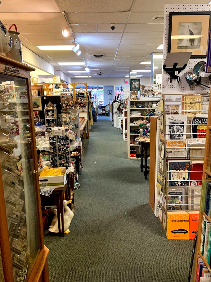 Down the rabbit hole we go! This aisle is a wonderland of knick-knacks and nostalgia, where every turn reveals a new surprise.