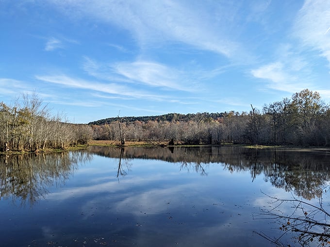 Serenity now! This tranquil lake view offers a moment of zen before diving into the delightfully bizarre world beyond.