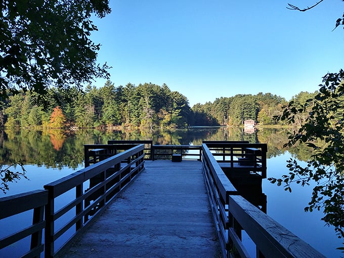 Bridging the gap between everyday life and pure tranquility. This wooden pathway leads to views that'll make your Instagram followers green with envy.