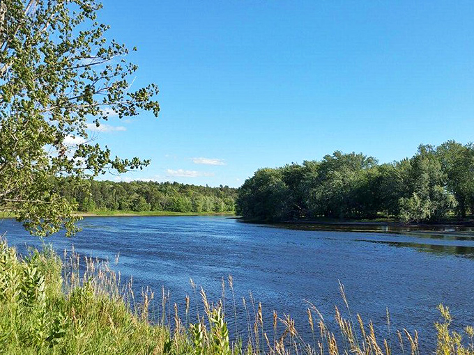 Old Man River's got nothing on this view! The Mississippi shows off its curves like it's auditioning for "America's Next Top Waterway."