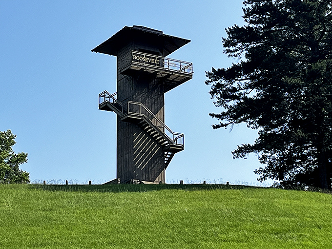 Stairway to heaven or observation tower? Either way, this wooden wonder offers views that'll make your Instagram followers green with envy.