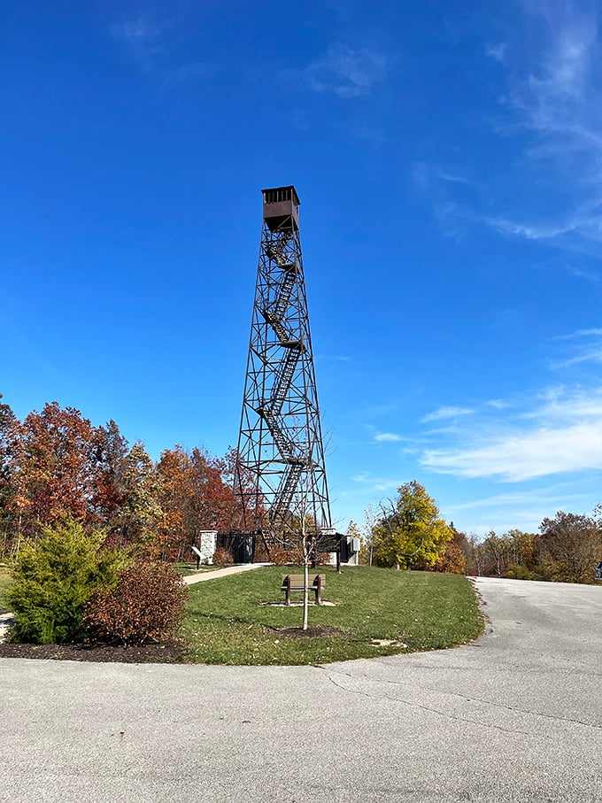 Reach for the sky at Ouabache's fire tower! It's like playing King Kong, minus the angry planes and damsel in distress.