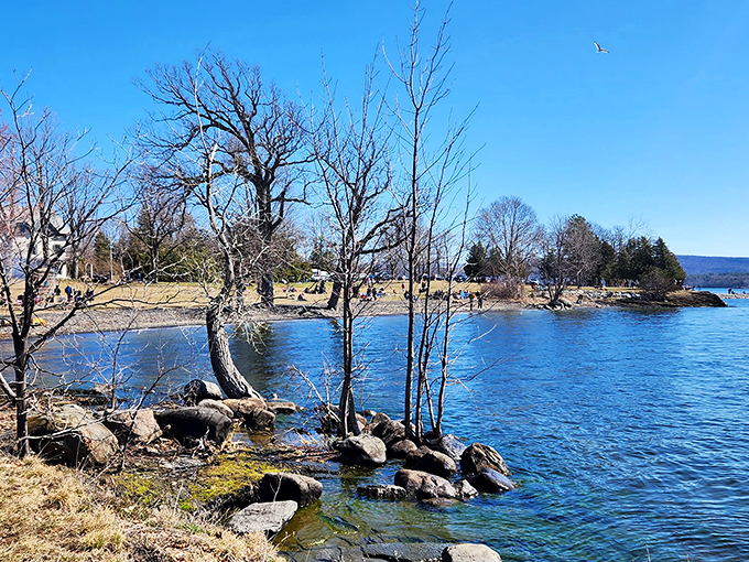 Panoramic perfection: Kill Kare's shoreline unfolds like nature's own IMAX screen. Warning: May cause spontaneous "oohs" and "aahs." 