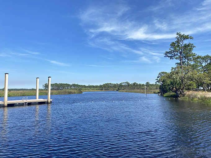 Forget infinity pools! This river's got more curves than a country road and reflects the sky better than your bathroom mirror on a good hair day.