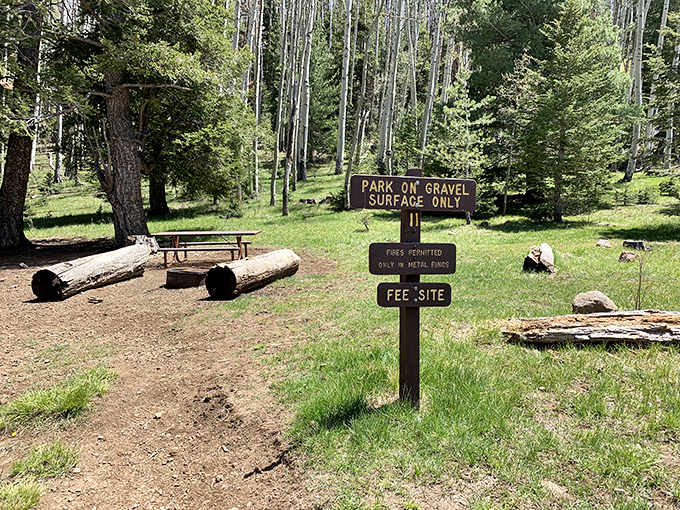 Ah, the great outdoors &ndash; where 'Park on Gravel' is both a rule and a life philosophy. Time to embrace your inner mountain sage!"