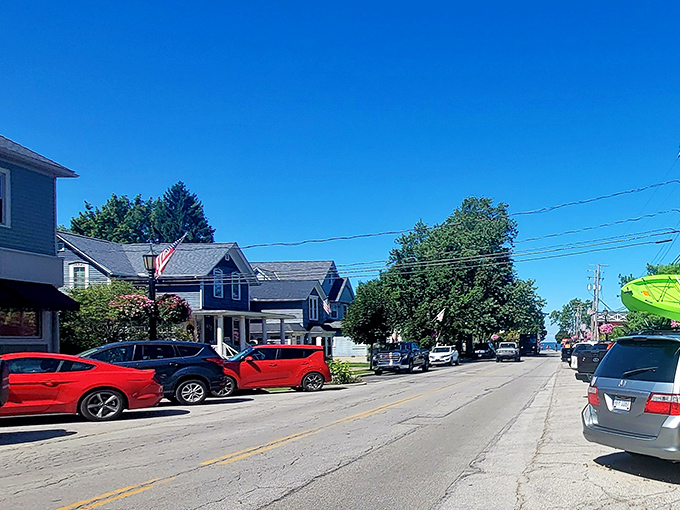 Cruising down memory lane! Vermilion's streets are lined with classic cars and quaint houses, making you feel like you've driven straight into a 1950s sitcom.