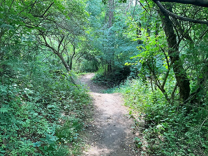 A path less traveled? Maybe. A path more enchanting? Absolutely! It's like stepping into a real-life fairy tale.