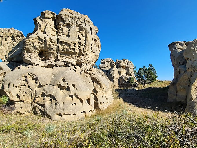 Swiss cheese or ancient rock? These pockmarked formations are Mother Nature's way of showing off her sculpting skills.