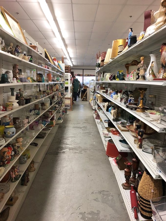 Knick-knack paddywhack, give a shelf a scan! These vintage items are like a time machine for your living room. Who knew nostalgia could be so affordable?