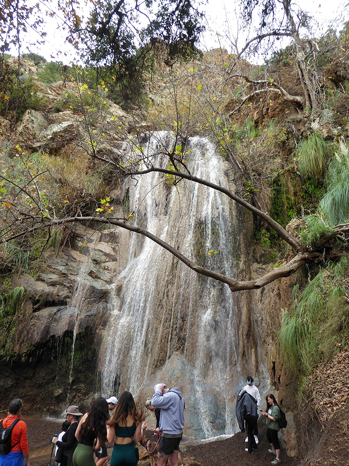 Mother Nature's own shower system! This cascading beauty puts even the fanciest spa to shame. Time to get your zen on, California style.