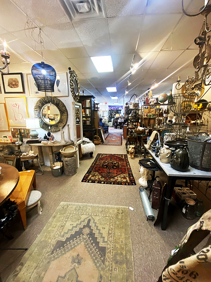 Down the rabbit hole we go! This aisle is a journey through time, with each step revealing new wonders from bygone eras.