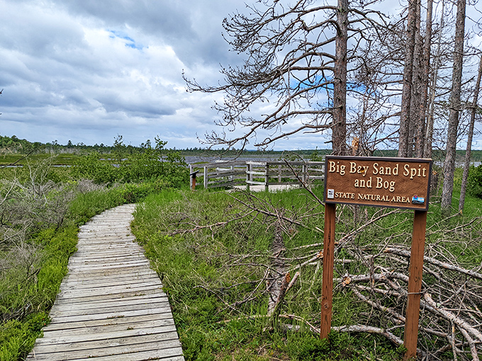 Wooden wonders lead the way: This boardwalk isn't just a path, it's a front-row ticket to nature's greatest hits.