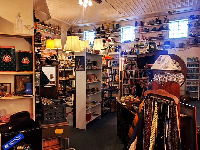 Bookworms, rejoice! This literary corner is a feast for the eyes and the mind, with volumes that could tell tales beyond their printed pages.