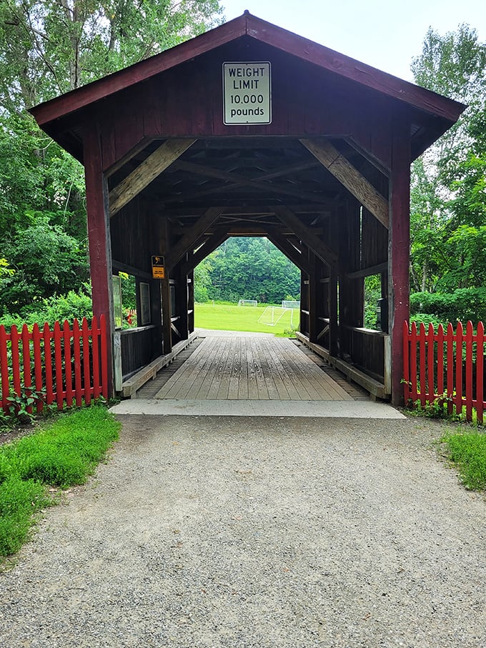 Welcome to the bridge that thinks it's a time machine! Step through and emerge in a world where "rush hour" means a family of ducks crossing the path.