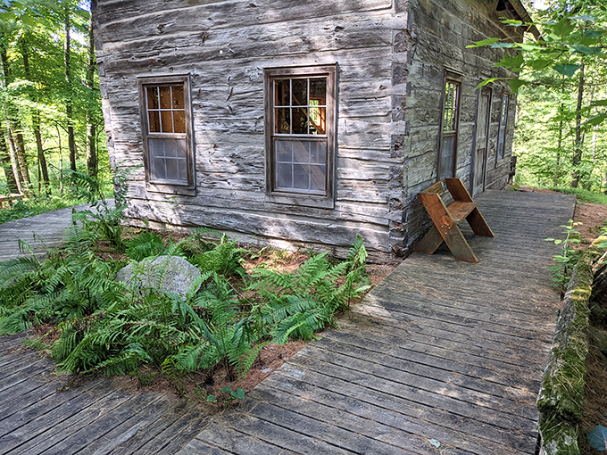 Rustic charm meets forest fairytale. This weathered cabin looks like it could tell a thousand stories of wilderness adventures.