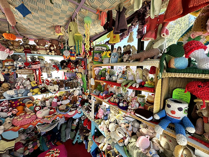 From fuzzy friends to fruity treats, this crochet cornucopia is like Willy Wonka's factory&mdash;if Wonka traded chocolate for yarn and Oompa Loompas for stuffed animals.