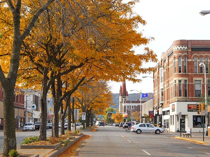 Fall in Winona: Mother Nature's paintbrush gone wild. These trees are showing off more colors than a 1970s disco outfit.
