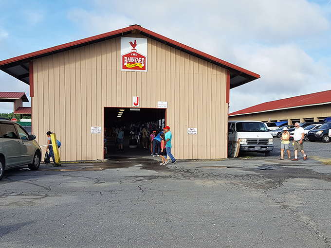 Behold the Barnyard, where farm-fresh deals and country charm await! Just don't ask why that rooster looks so suspicious.