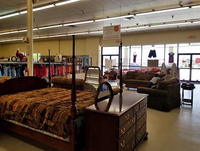 From plush sofas to four-poster beds, this furniture section is where comfort meets quirky. It's like a time machine powered by upholstery!