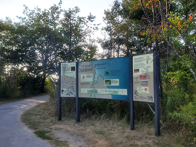 Nature's own Wikipedia page! This sign is packed with more info than your average fortune cookie. Time to become a Tawas Point expert!