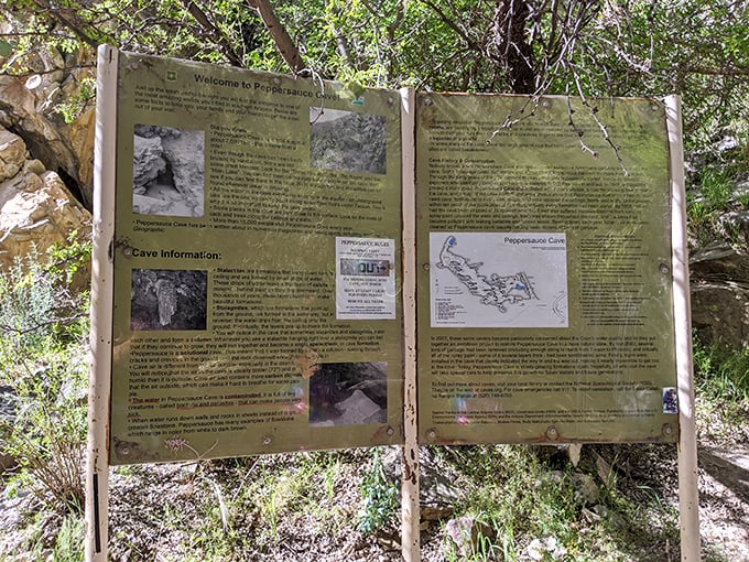 Reading material that's actually exciting! This sign is your cheat sheet to becoming a cave explorer extraordinaire.