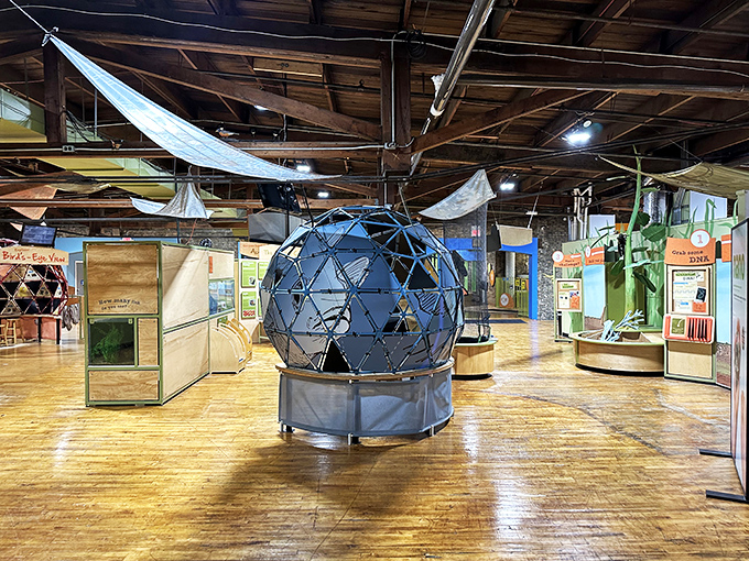 Cosmic playground alert! This isn't your average museum &ndash; it's a hands-on universe where science becomes an adventure, complete with mysterious orbs and colorful contraptions.