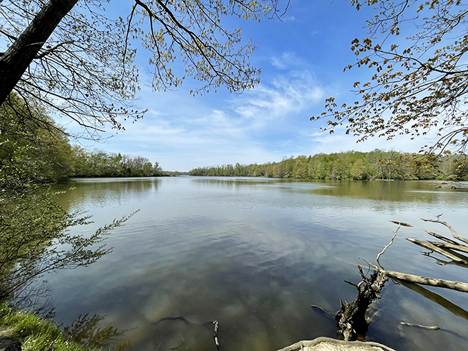 Mirror, mirror on the lake... Cowan's glassy surface reflects nature's beauty like a 700-acre looking glass. Snow White's got nothing on this enchanted view!