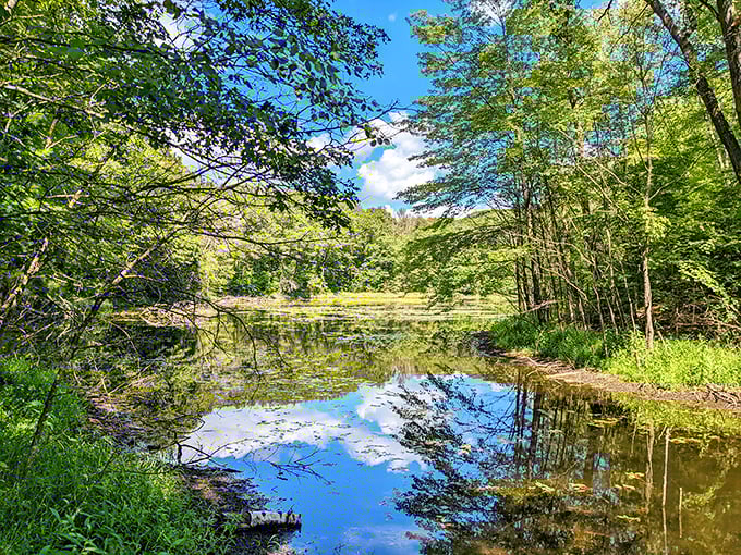 Mother Nature's mood ring: This tranquil lake shifts from crystal clear to mirror-like, reflecting the ever-changing Wisconsin sky above.