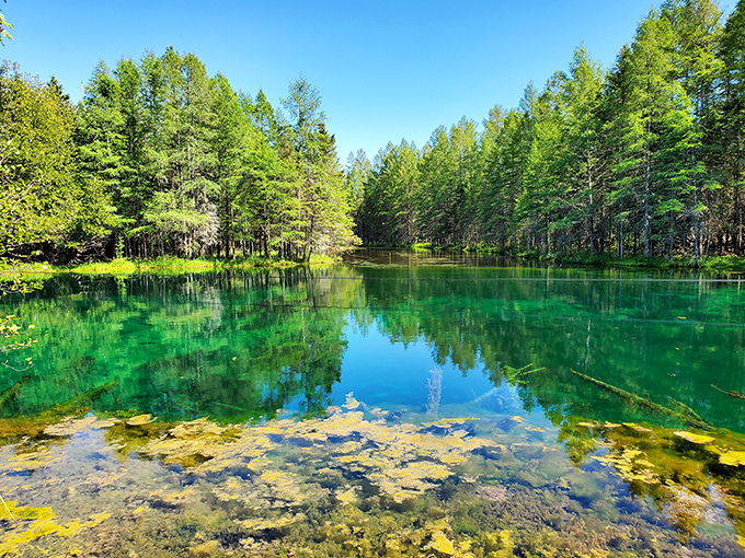 Mirror, mirror on the lake: Is this real life or a Bob Ross painting come to life? Spoiler alert: It's both!