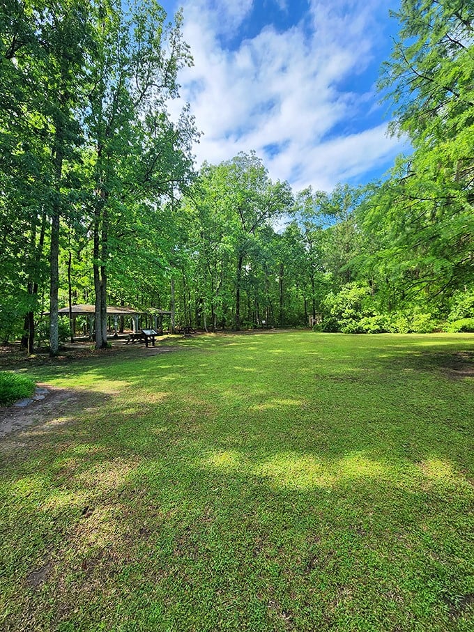 Forget Central Park, this is South Carolina's version of an urban oasis. A slice of green serenity that's more refreshing than sweet tea on a hot day.